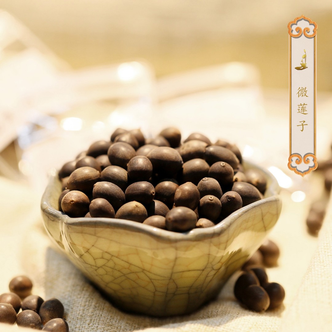 Micro lotus seed, Furniture & Home Living, Gardening, Plants & Seeds on ...