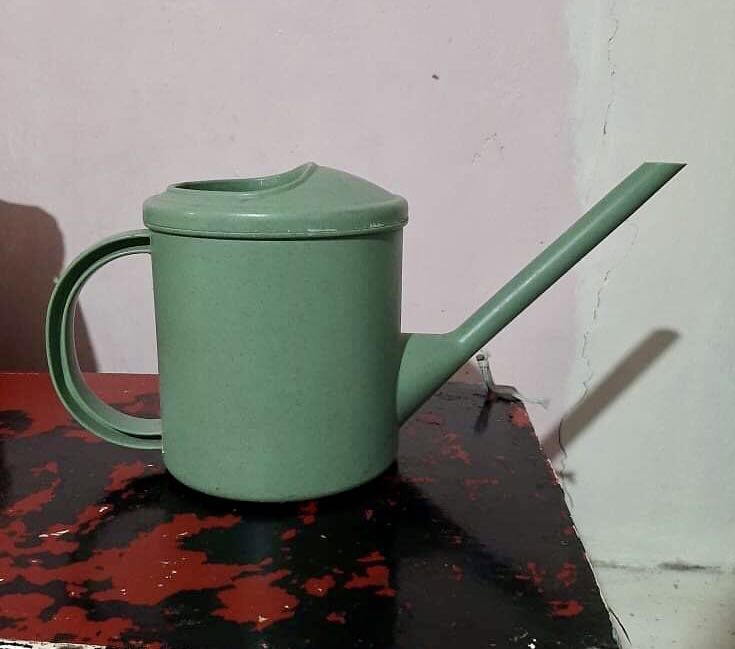 Pandilig, Furniture & Home Living, Gardening, Gardening Tools ...