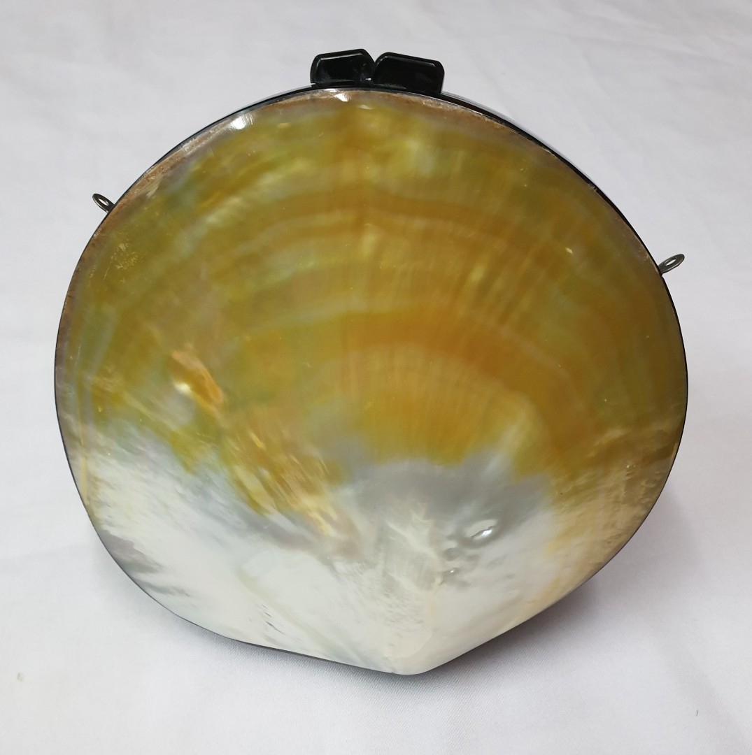 Shell molded bag MOP with chain, Luxury, Bags & Wallets on Carousell