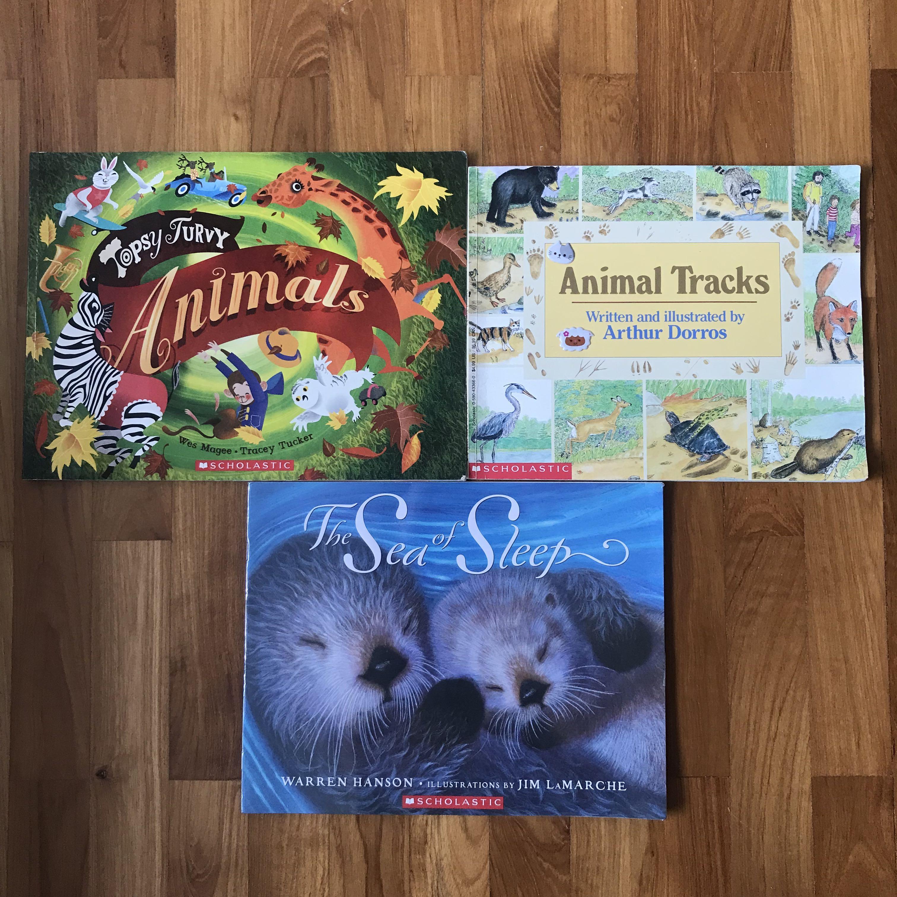 Excellent condition Scholastic picture books English story books ...
