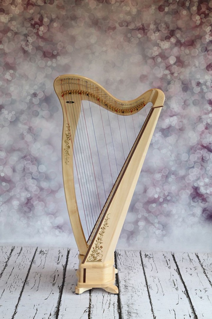 Aoyama Harp, Hobbies & Toys, Music & Media, Musical Instruments on ...
