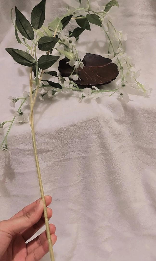 Bunga rambat cantik #valentine2022, Perabotan Rumah di Carousell