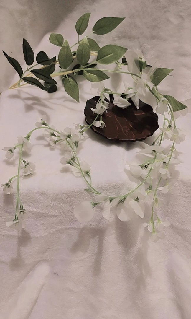 Bunga rambat cantik #valentine2022, Perabotan Rumah di Carousell