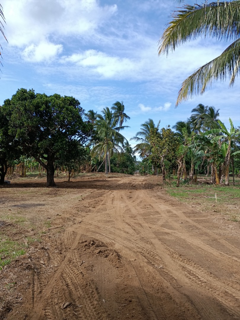 RESIDENTIAL FARM LOT IN ALFONSO CAVITE, Property, For Sale, Lot on ...
