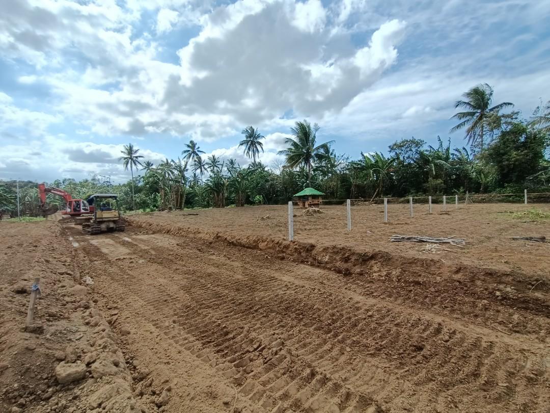 RESIDENTIAL FARM LOT IN ALFONSO CAVITE, Property, For Sale, Lot on ...