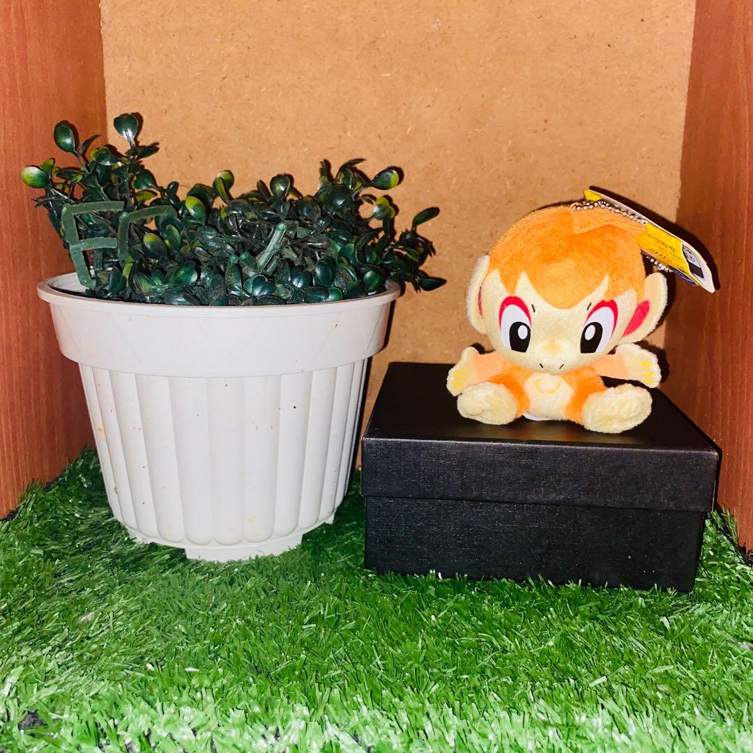Sitting chimchar - Banpresto pokemon plush, Hobbies & Toys ...