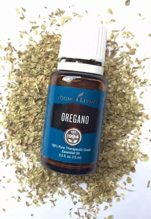 Young Living Oregano Essential Oil, Health & Nutrition, Health ...