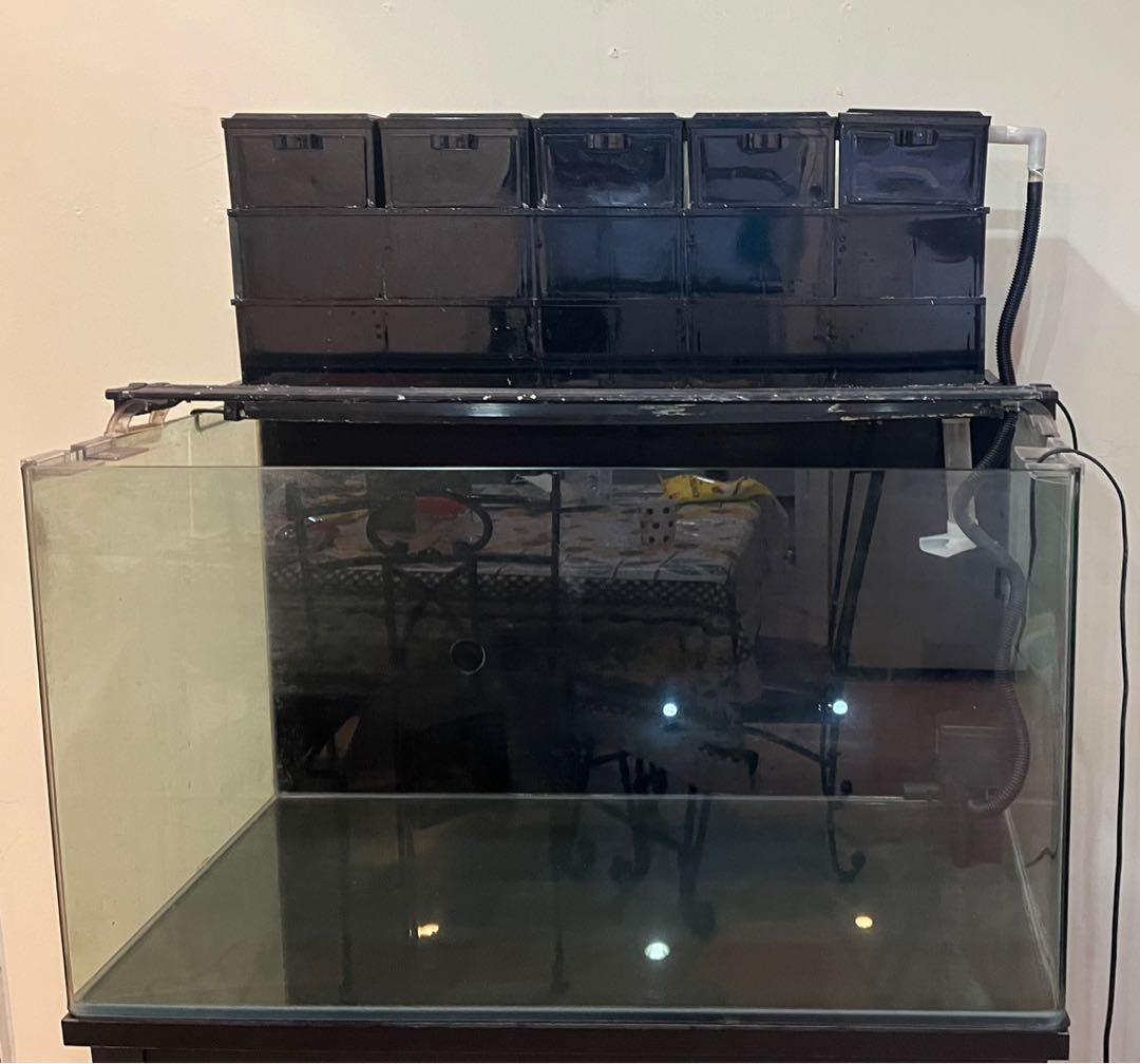 3ft 3 tier overhead (OHF) filter, Pet Supplies, Homes & Other Pet ...