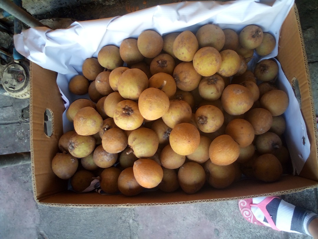 Chico sweets fruit, Food & Drinks, Local Eats on Carousell