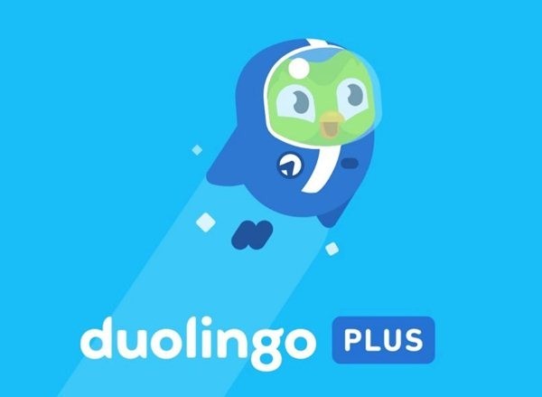 Duolingo Plus subscription, Everything Else on Carousell