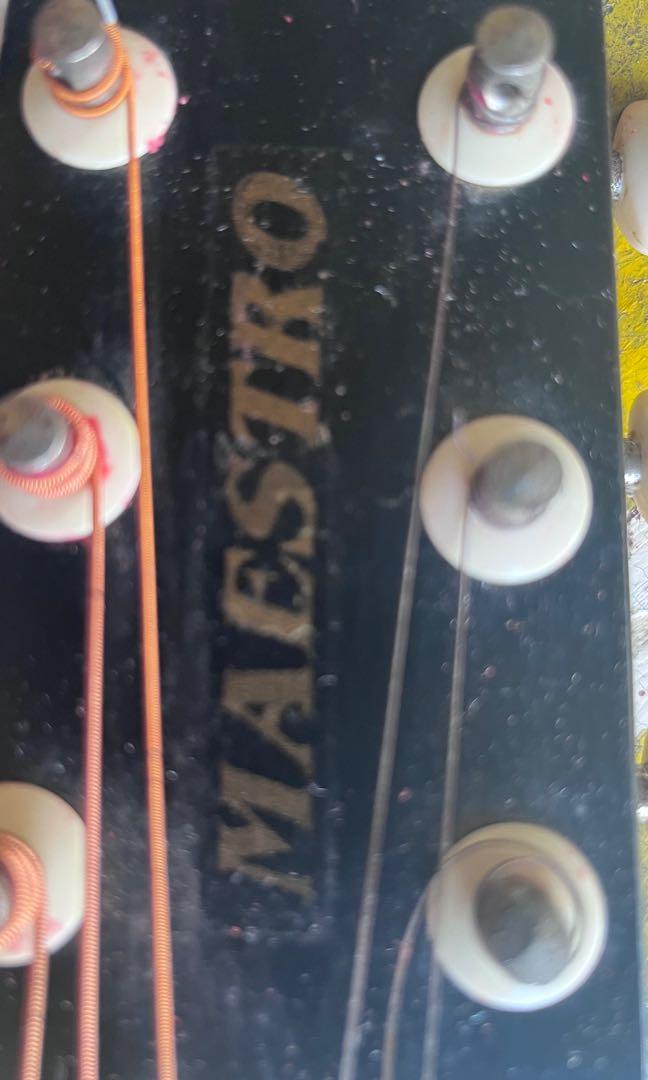 Maestro Acoustic Guitar, Hobbies & Toys, Music & Media, Musical ...