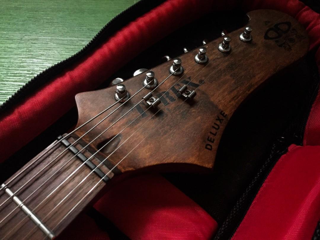 D&D T-rex mong alcaraz signature model(upgraded), Hobbies & Toys, Music ...