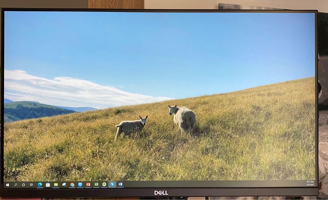 Dell 23 Monitor (P2319H) - like new condition, Computers & Tech, Parts ...