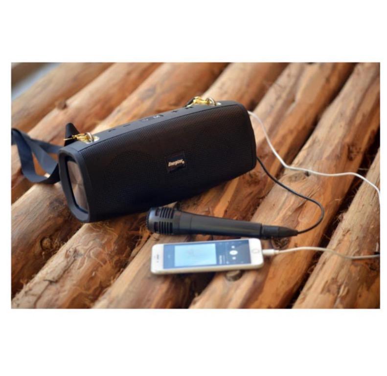 Energizer BTS-204 Black Portable Bluetooth Karaoke Speaker with ...