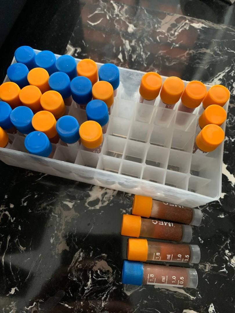 Frozen Daphnia aka Boon, Pet Supplies, Pet Food on Carousell