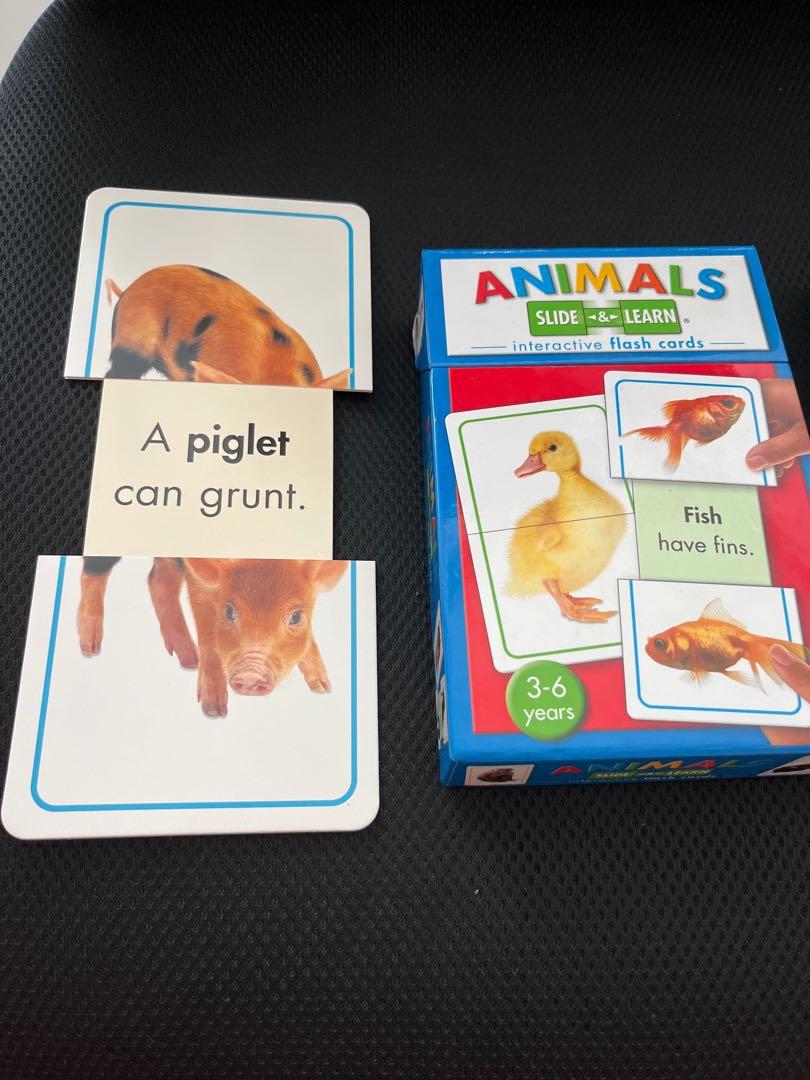 Interactive Flash Cards - big, Hobbies & Toys, Books & Magazines ...