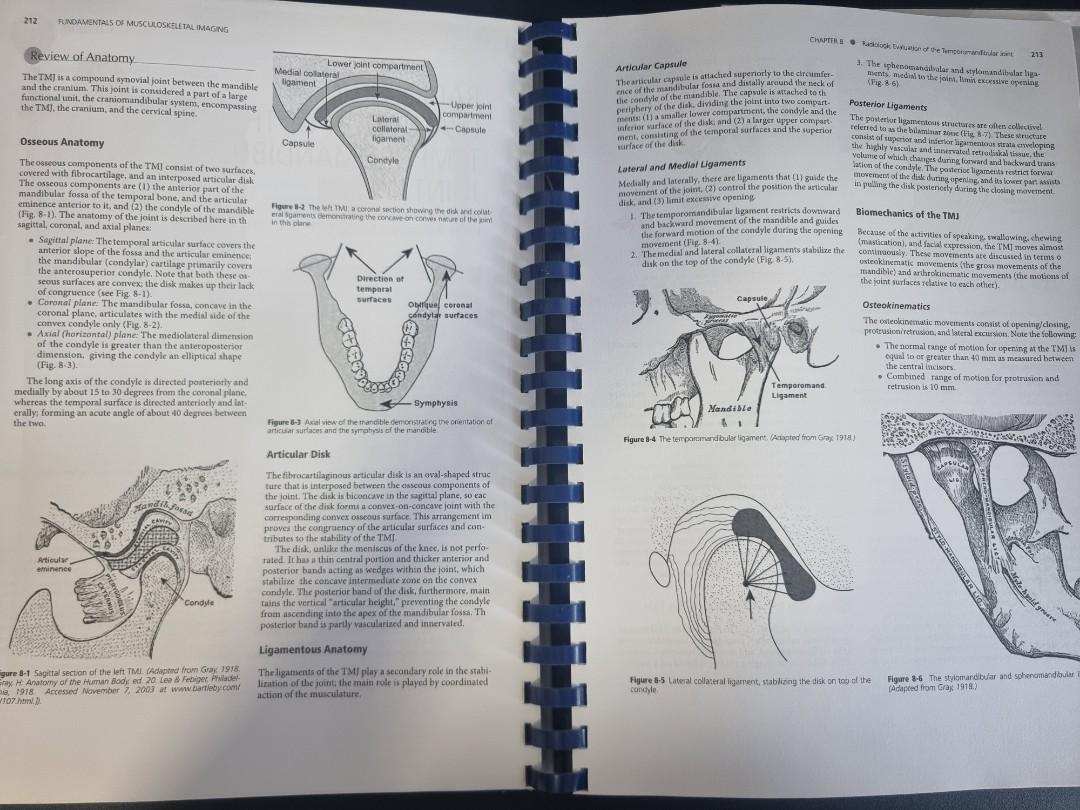 Kinesiology Of The Musculoskeletal System; Fundamentals Of ...