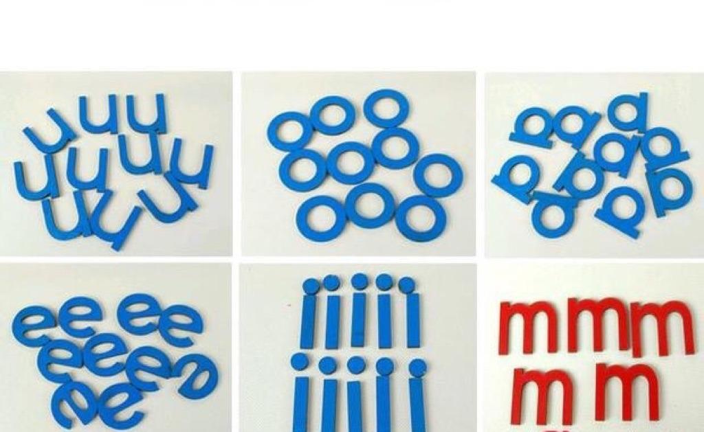 Montessori Small Moveable Alphabets [Movable Alphabets for Kids ...