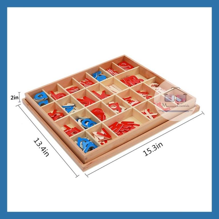 Montessori Small Moveable Alphabets [Movable Alphabets for Kids ...