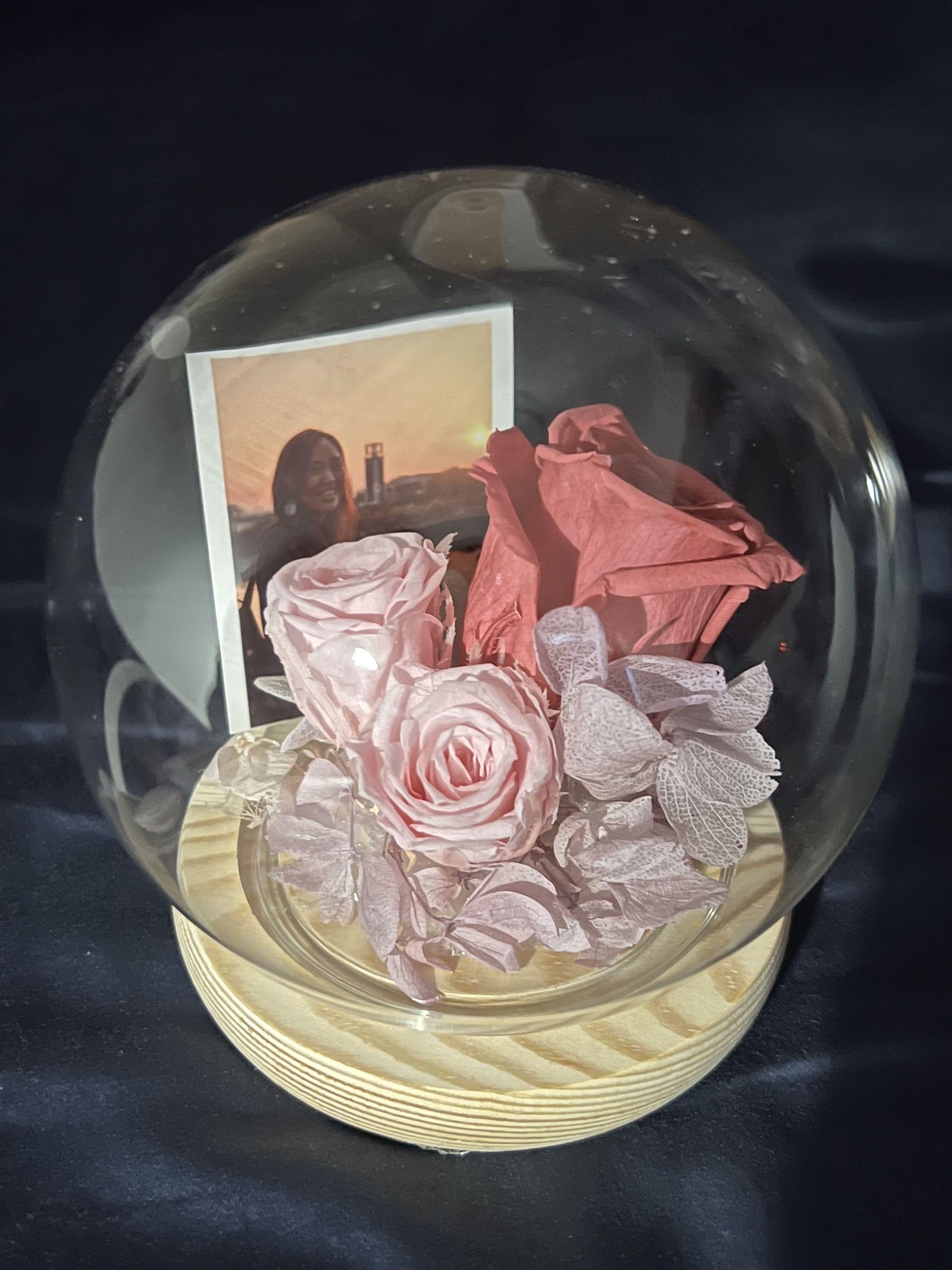 Preserved roses dome with customised photo, Hobbies & Toys, Stationery ...