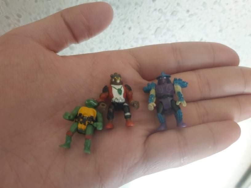 TMNT Polly Pocket, Hobbies & Toys, Toys & Games on Carousell