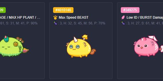 AXIE TEAM BBP, Video Gaming, Video Games, Others on Carousell
