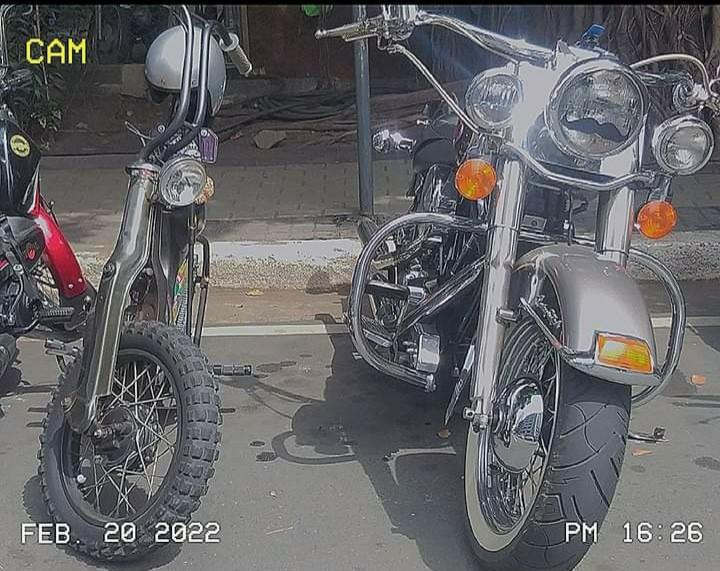 HONDA C70 STREET CUB CHOPPER!, Motorbikes, Motorbikes for Sale on Carousell