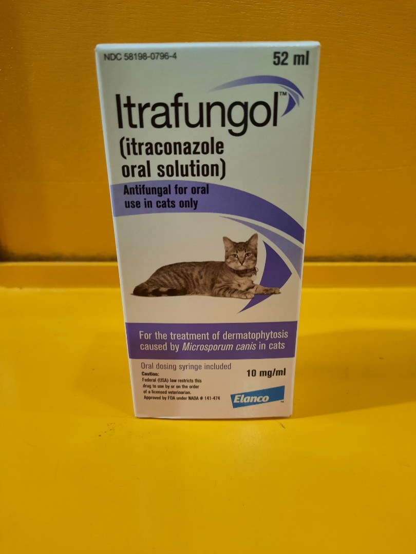 Itrafungol Oral Solution for Cats 52ml, Pet Supplies, Health & Grooming ...