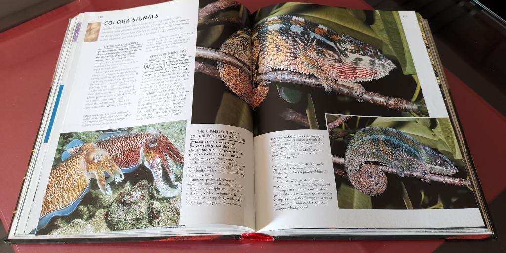 Reader's Digest - 1000 Wonders of Nature, Hobbies & Toys, Books ...