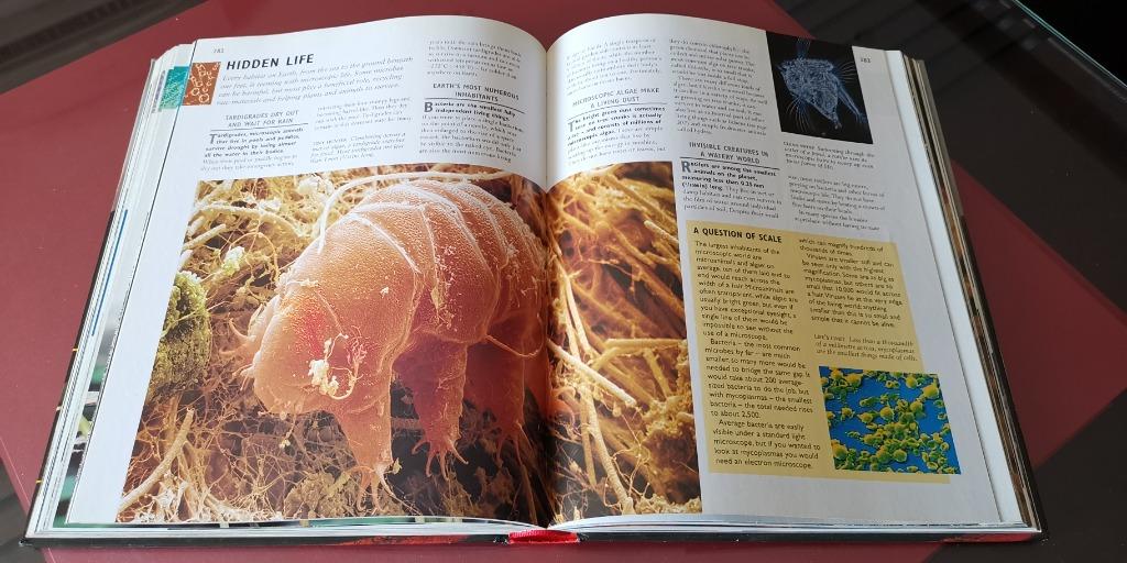 Reader's Digest - 1000 Wonders of Nature, Hobbies & Toys, Books ...