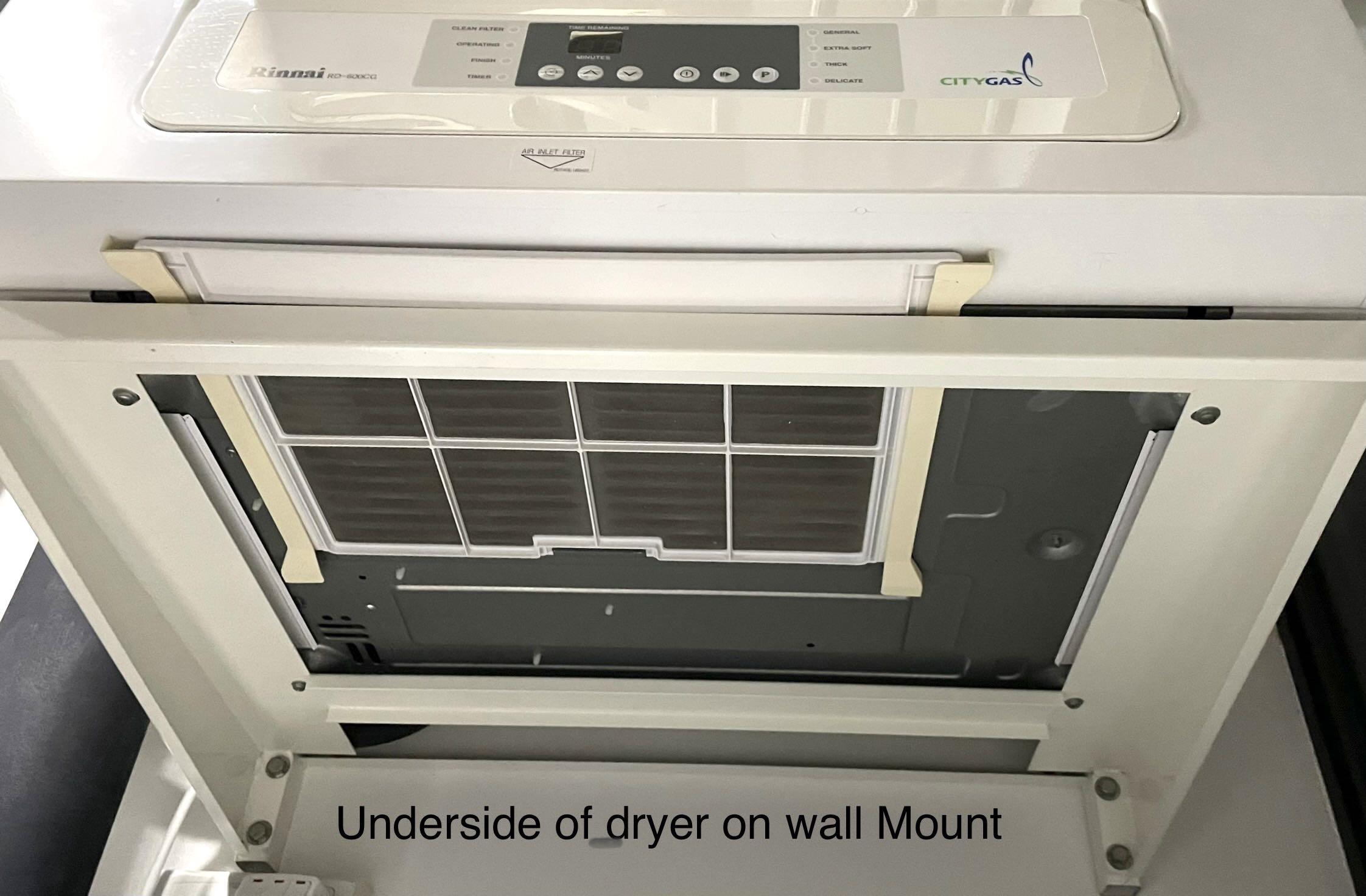 Rinnai Gas Tumble Dryer RD-600CG, TV & Home Appliances, Washing ...