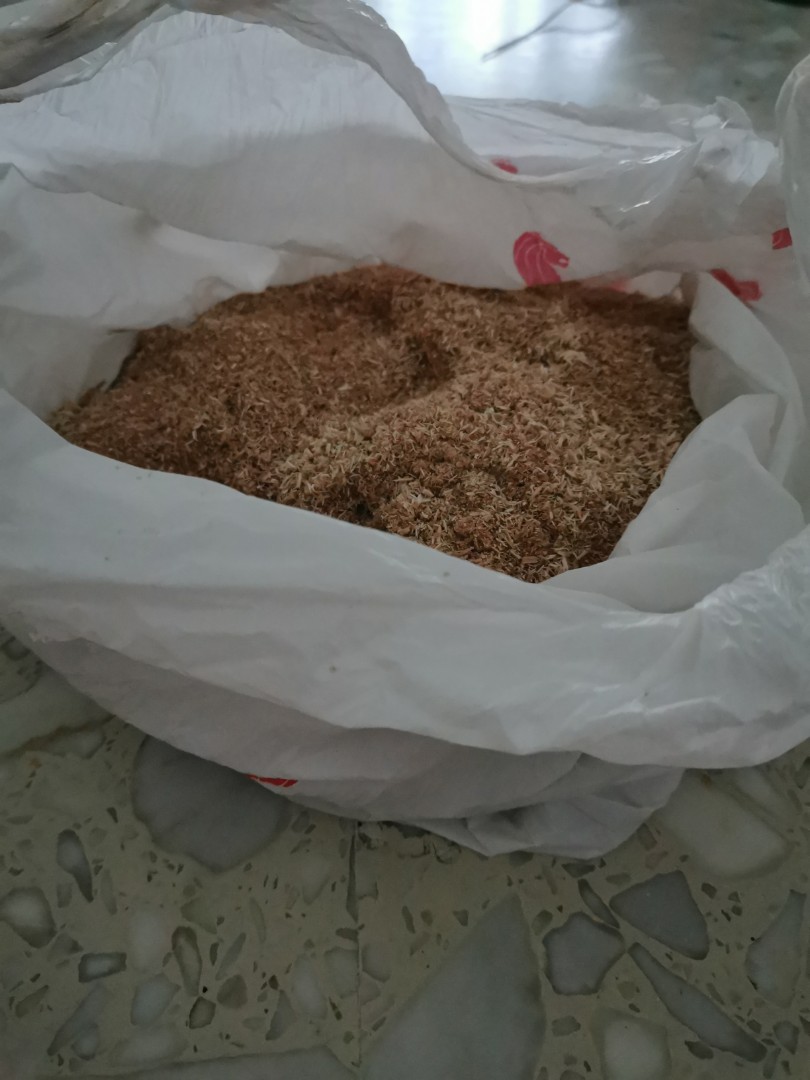 Saw dust Wood dust, Pet Supplies, Homes & Other Pet Accessories on ...