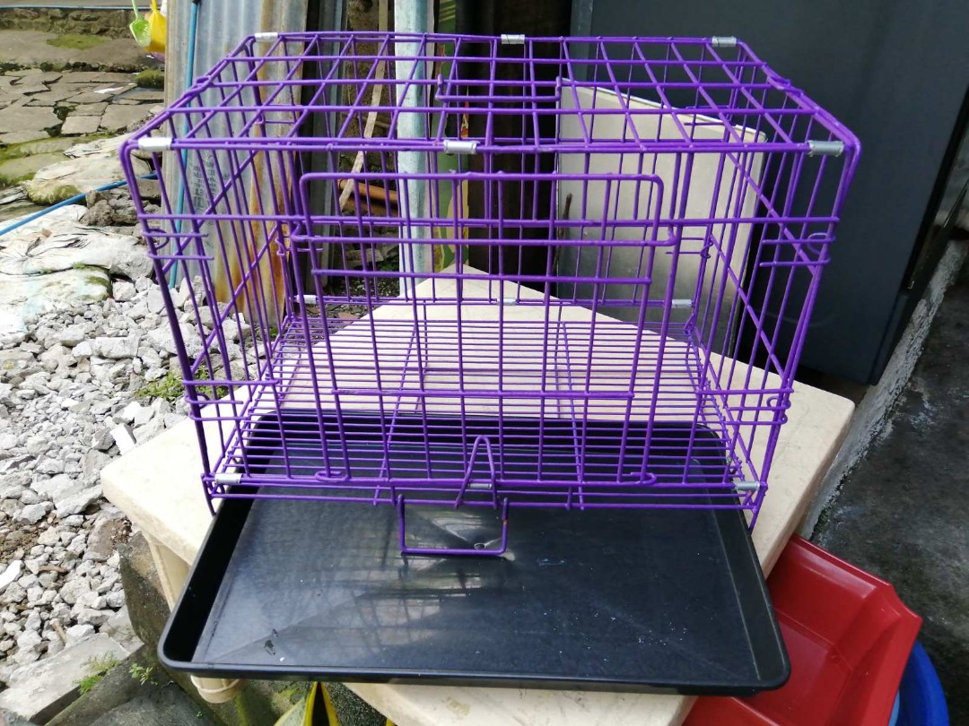 Violet cage, Pet Supplies, Homes & Other Pet Accessories on Carousell