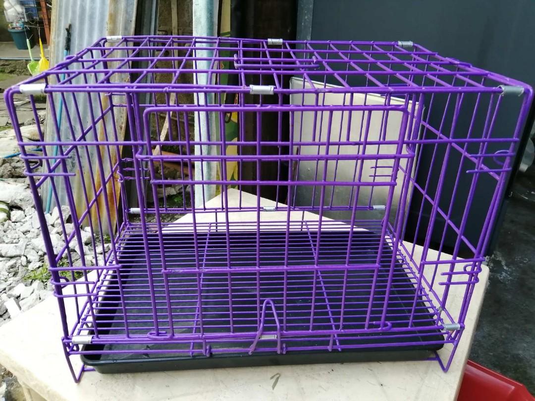Violet cage, Pet Supplies, Homes & Other Pet Accessories on Carousell