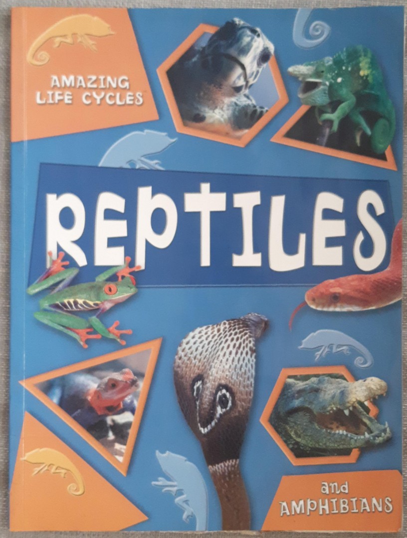 Amazing Life Cycles: Reptiles, Hobbies & Toys, Books & Magazines ...