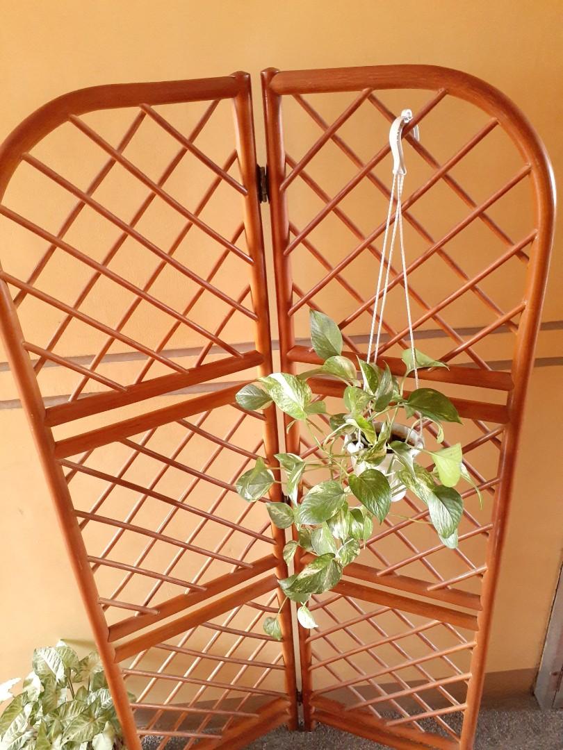 Bifold rattan diamond screen partition divider, Furniture & Home Living ...