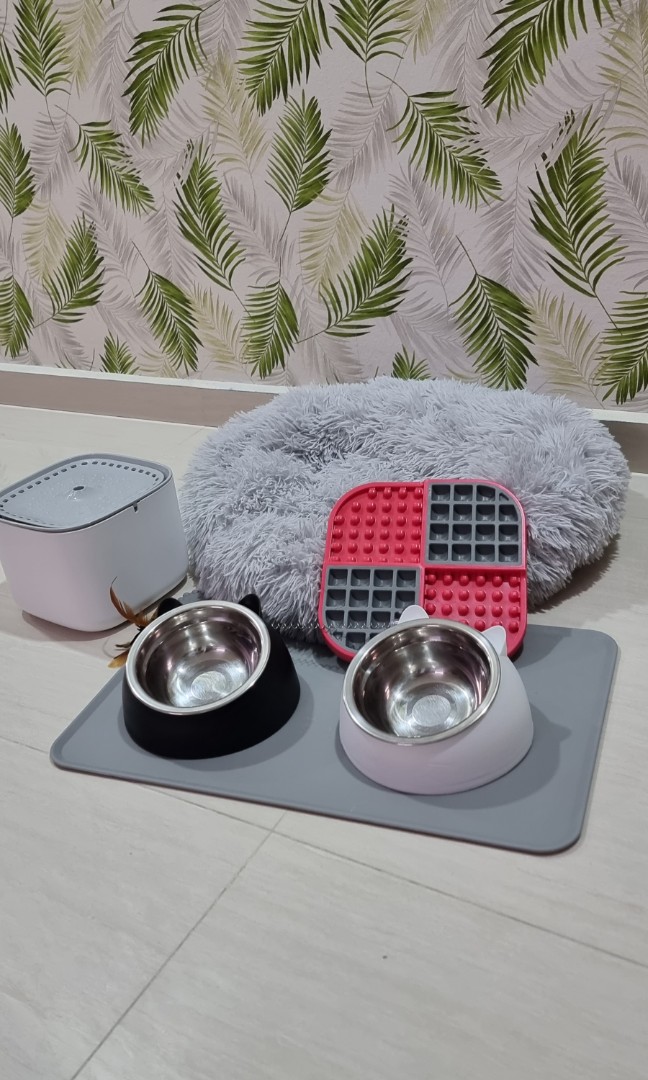 Cat set, Pet Supplies, Homes & Other Pet Accessories on Carousell