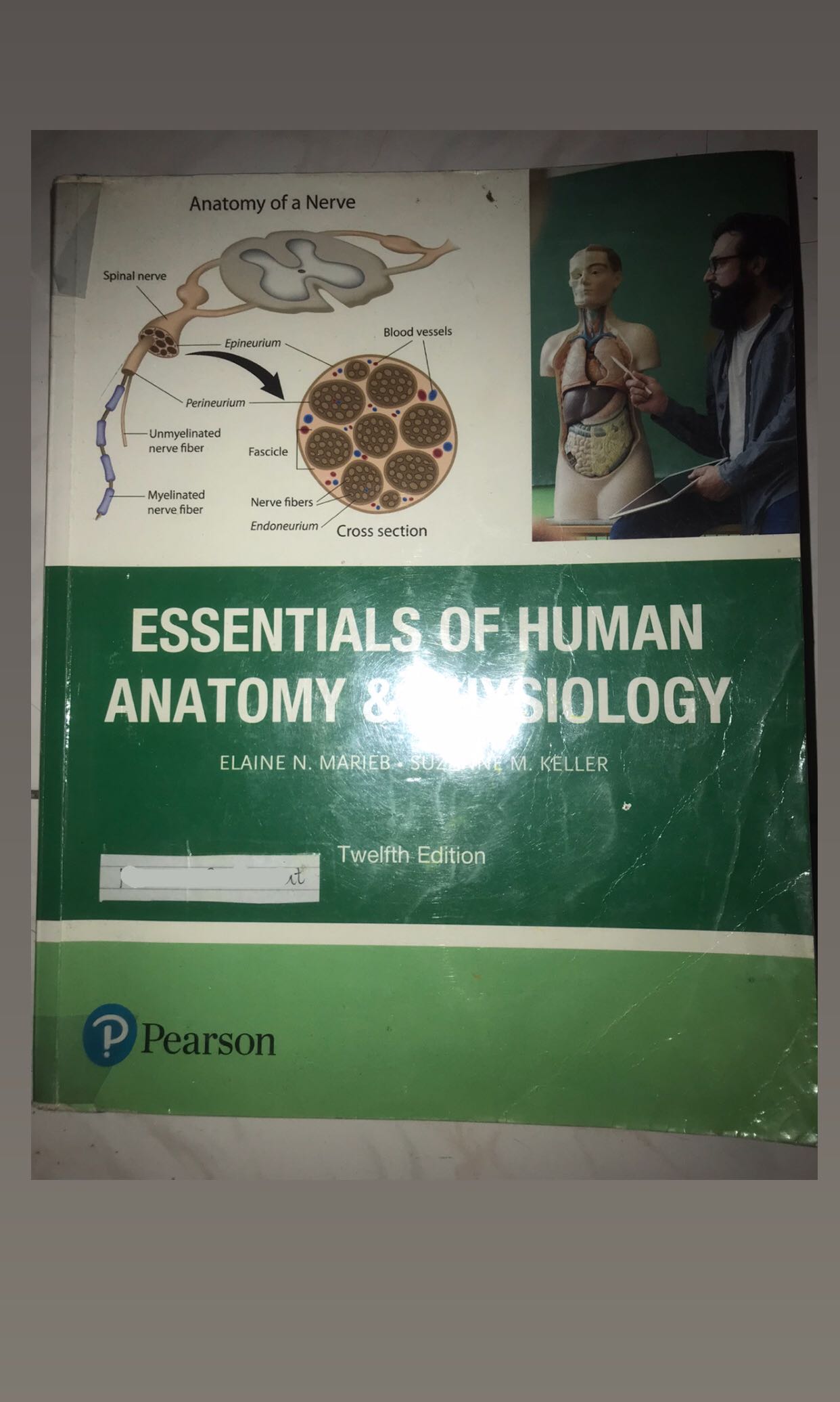 Essentials of Human Anatomy and Physiology, Hobbies & Toys, Books ...