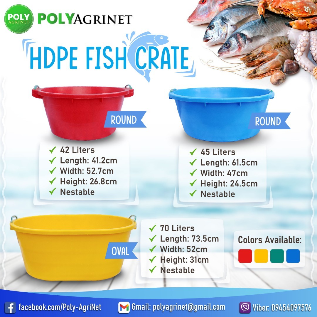 Fish Crate Banyera, Sports Equipment, Fishing on Carousell