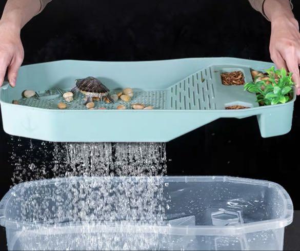 Terrapin cage, Pet Supplies, Homes & Other Pet Accessories on Carousell
