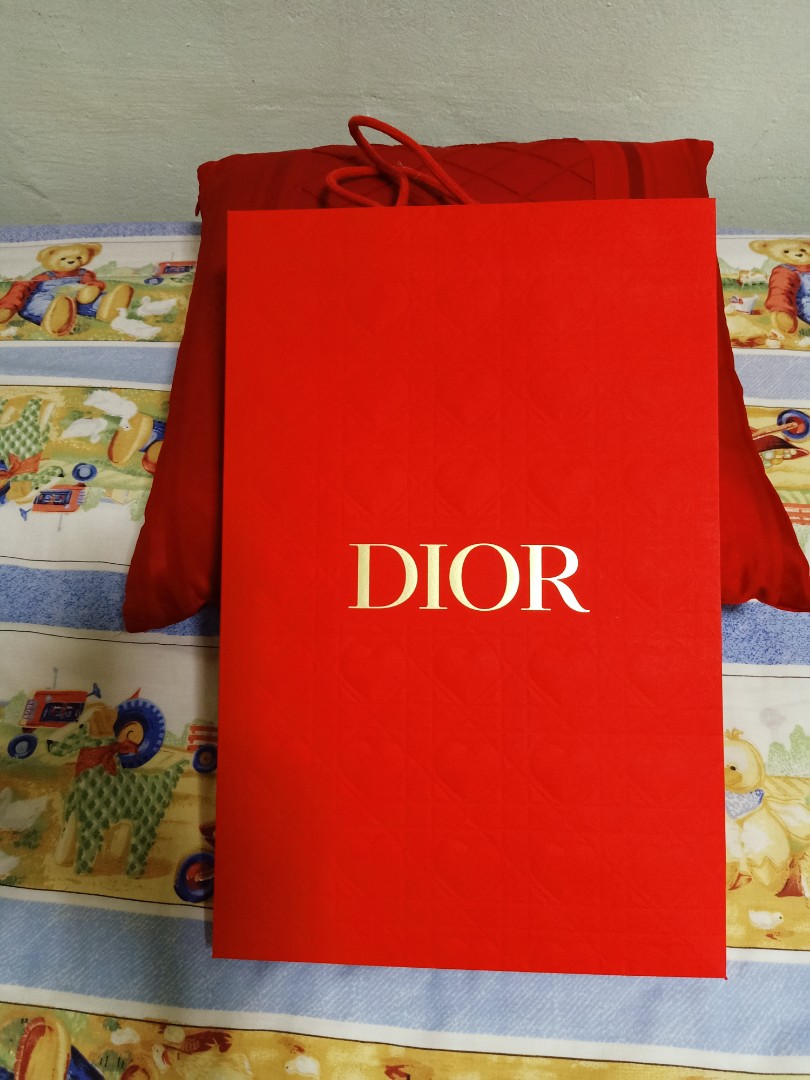 Christian Dior paper bag, Luxury, Accessories on Carousell