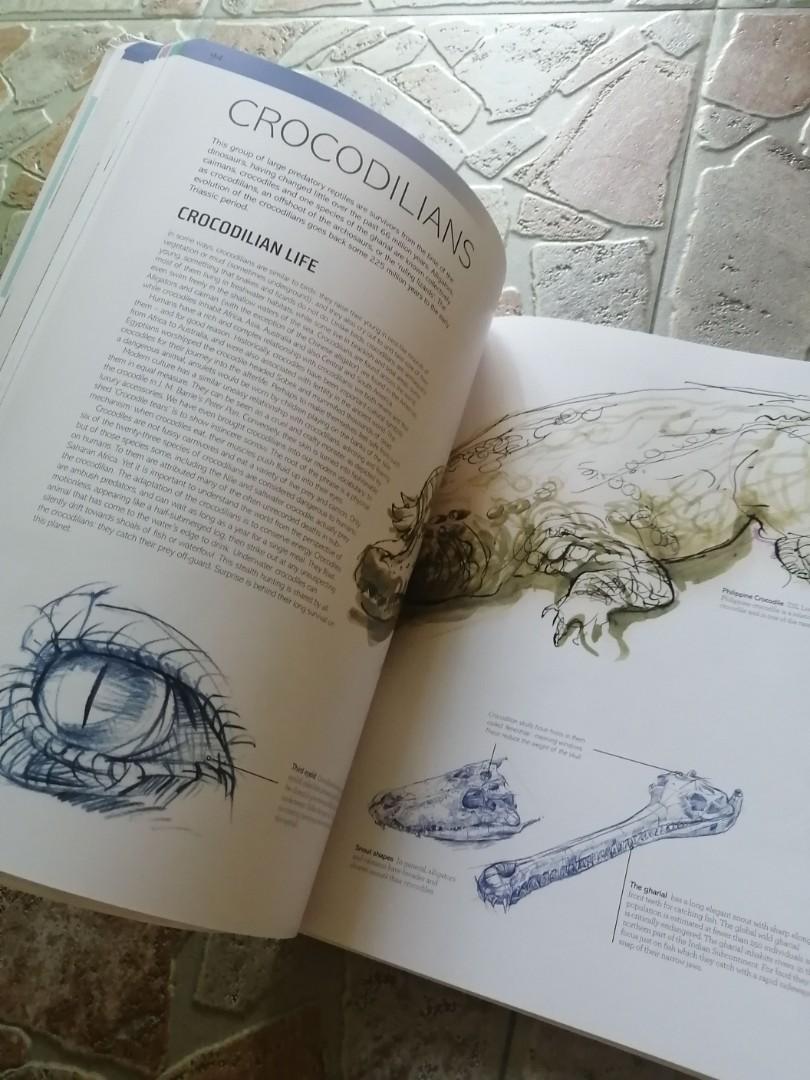 The field guide to drawing and sketching animals, Hobbies & Toys, Books ...