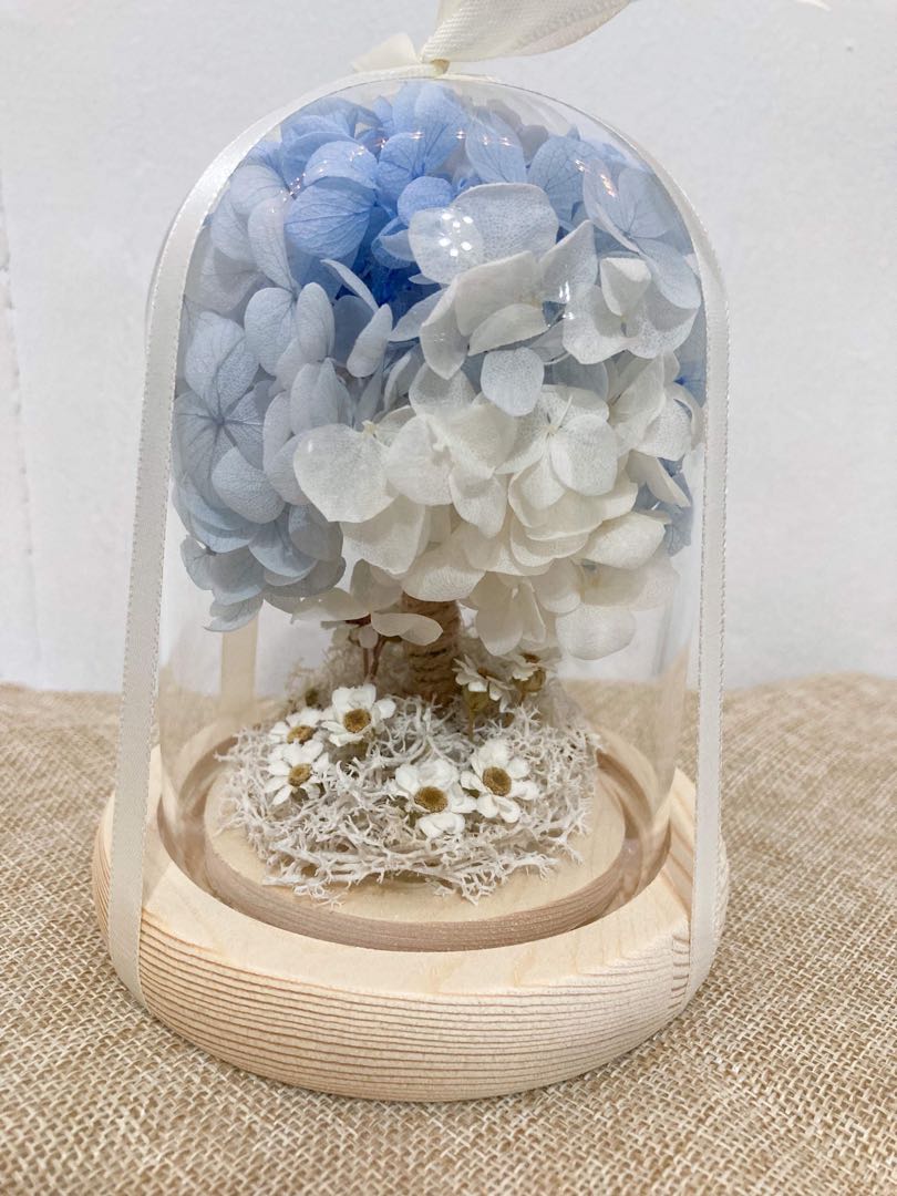 Two Colour Preserved Hydrangea Glass Dome Gift Set, Hobbies & Toys ...