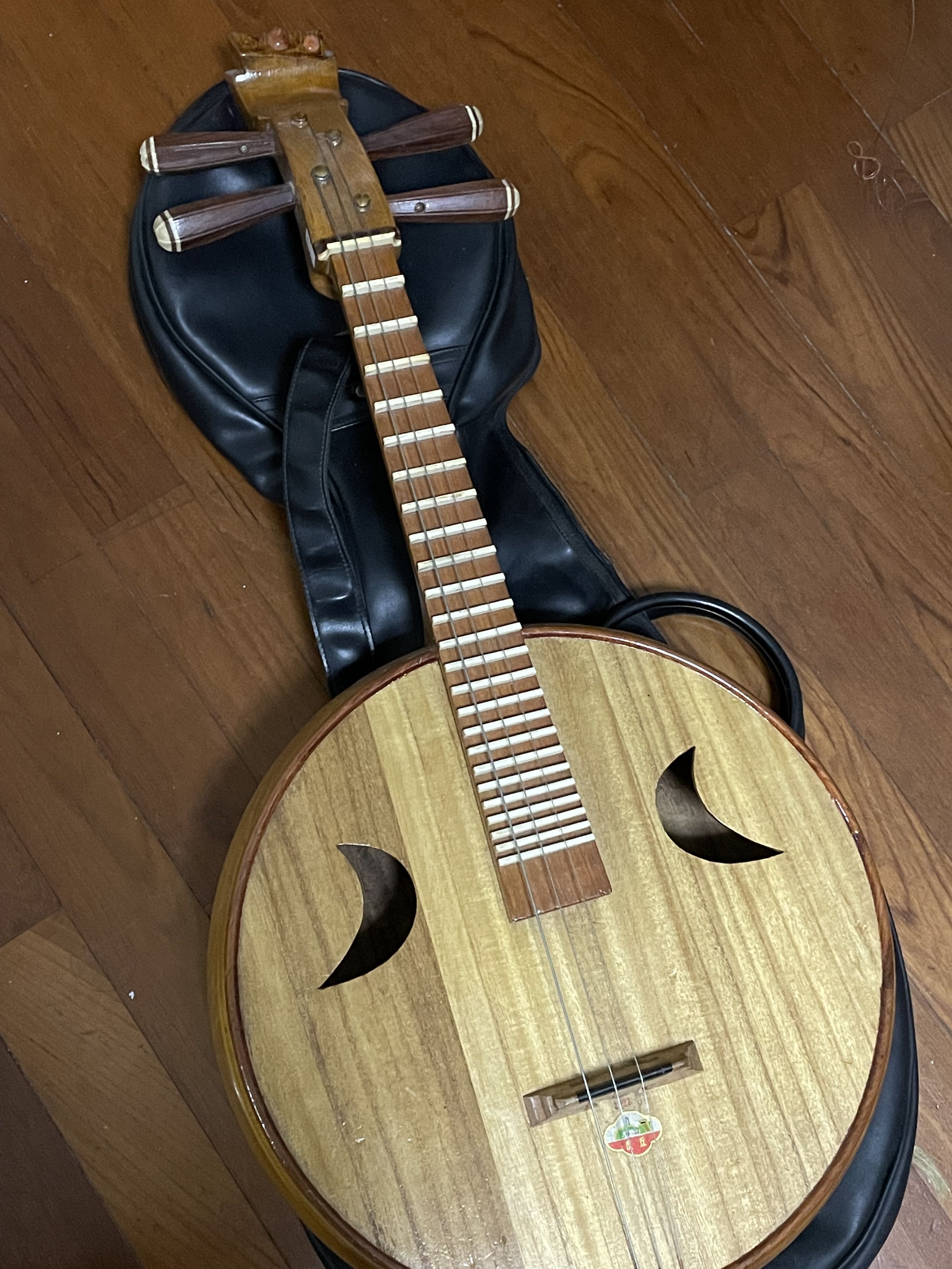 zhong ruan for beginners, Hobbies & Toys, Music & Media, Musical ...