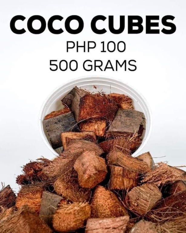 COCO CUBES 500 grams, Furniture & Home Living, Gardening, Soil ...