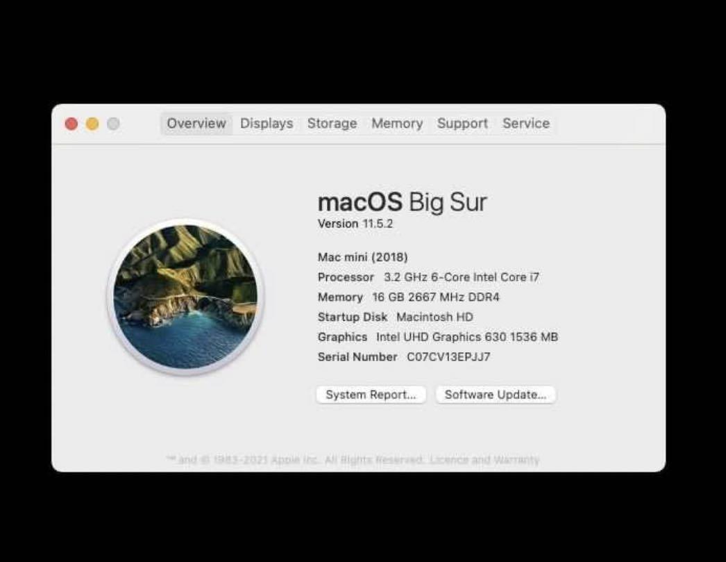 Mac Mini 2020, 256GB storage, 16GB memory, Computers & Tech, Desktops ...