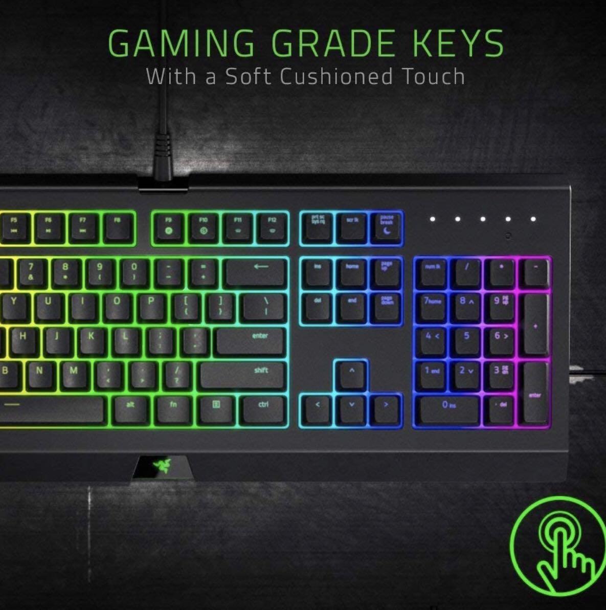 [預訂]Razer-Cynosa Chroma Gaming Keyboard, 電腦＆科技, 電腦周邊及配件, 電腦鍵盤及相關產品 ...