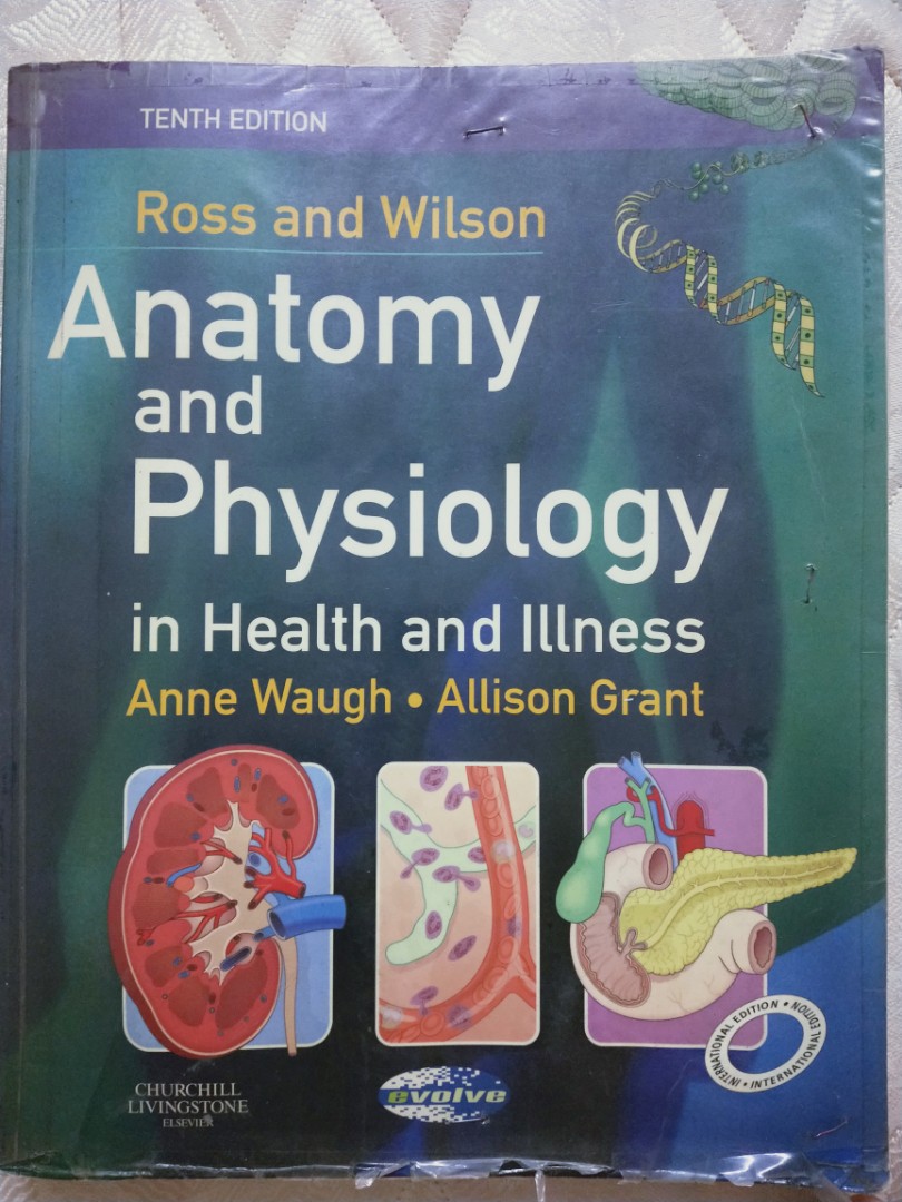 ANATOMY AND PHYSIOLOGY (ROSS & WILSON), Hobbies & Toys, Books ... ANATOMY AND PHYSIOLOGY (ROSS & WILSON), Hobbies & Toys, Books ...