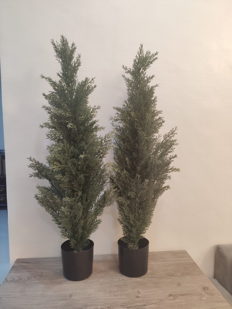 Faux plant small cedar pine tree, Furniture & Home Living, Home Decor ...