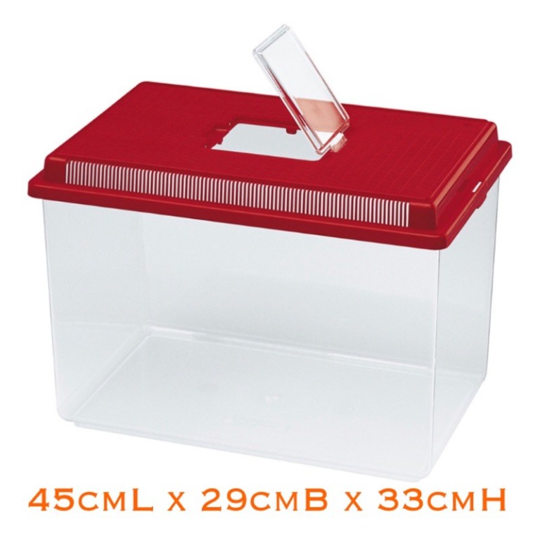 Guppy Plastic Fish Aquarium / Plastic Tank / Fish Tank - 450MM Features ...